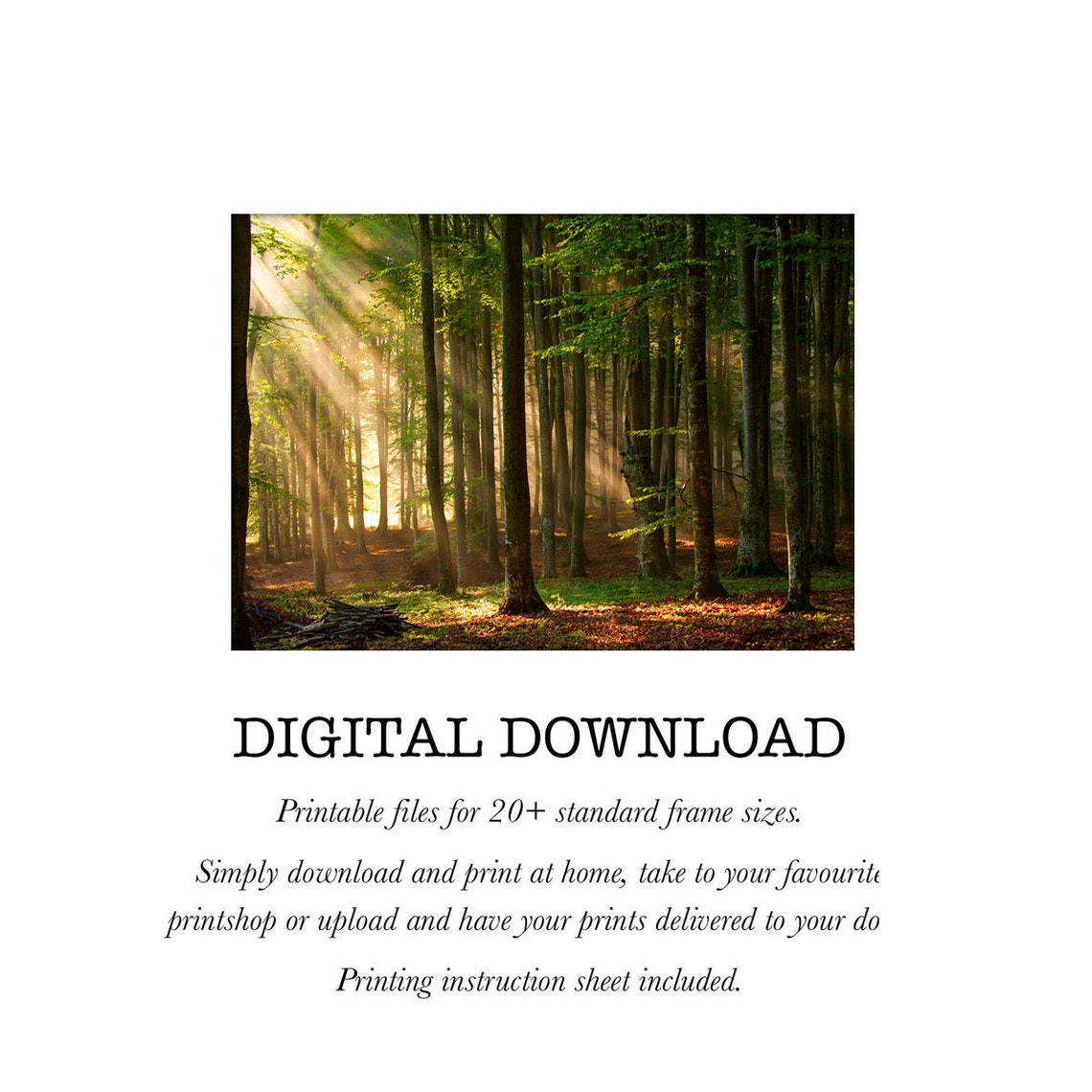 Forest Print, Forest Wall Art, Forest Poster, Forest, Forest Trees ...