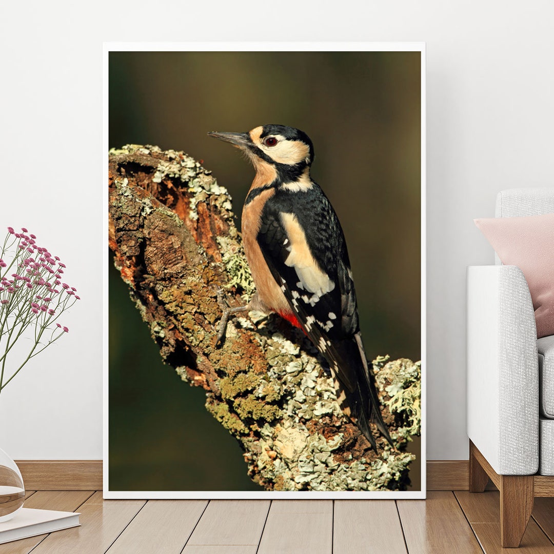 Woodpecker, Woodpecker Print, Woodpecker Photo, Woodpecker Art, Prints ...