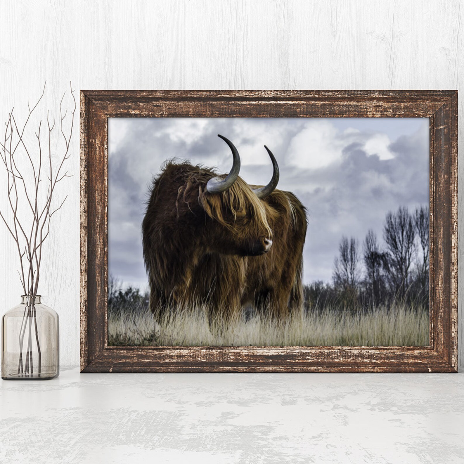 Highland Cow Print Digital Download Cow Photography | Etsy