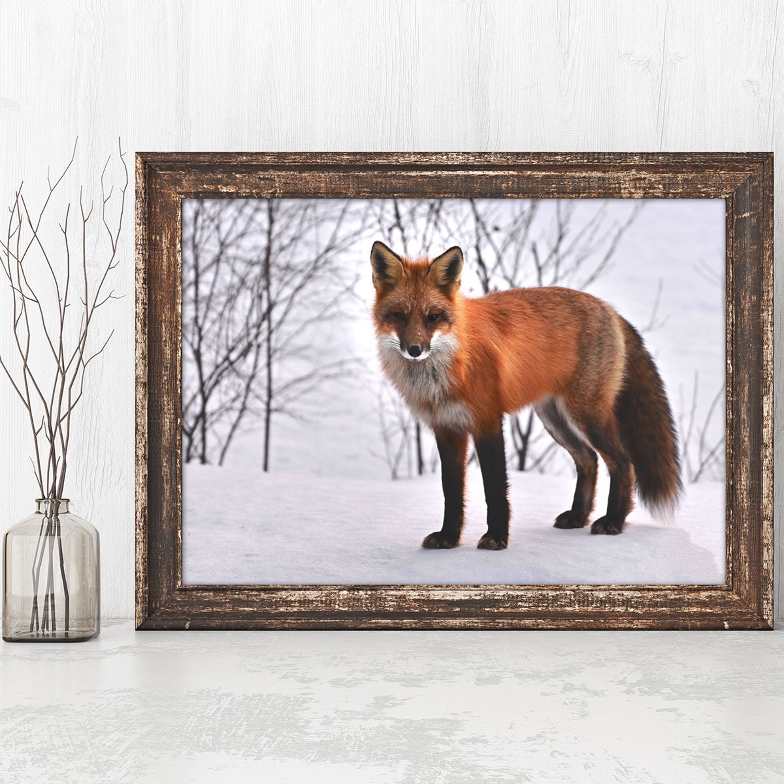 Red Fox Red Fox Photography Nature Photo Red Fox Print - Etsy