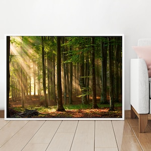 Forest Print, Forest Wall Art, Forest Poster, Forest, Forest Trees ...