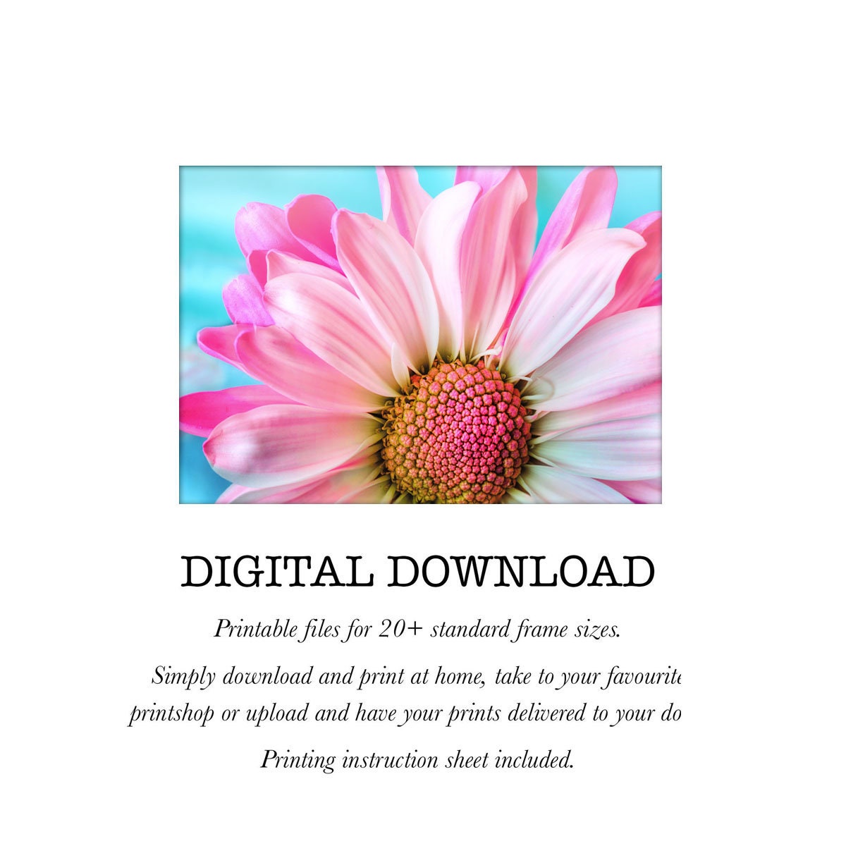 Daisy Print Daisy Wall Art Printable Photography Colorful - Etsy