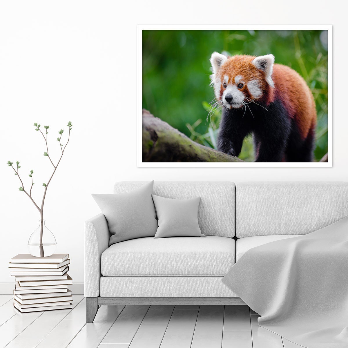 Red Panda Photography, Printable Poster, Cute Panda, Wall Art Print ...