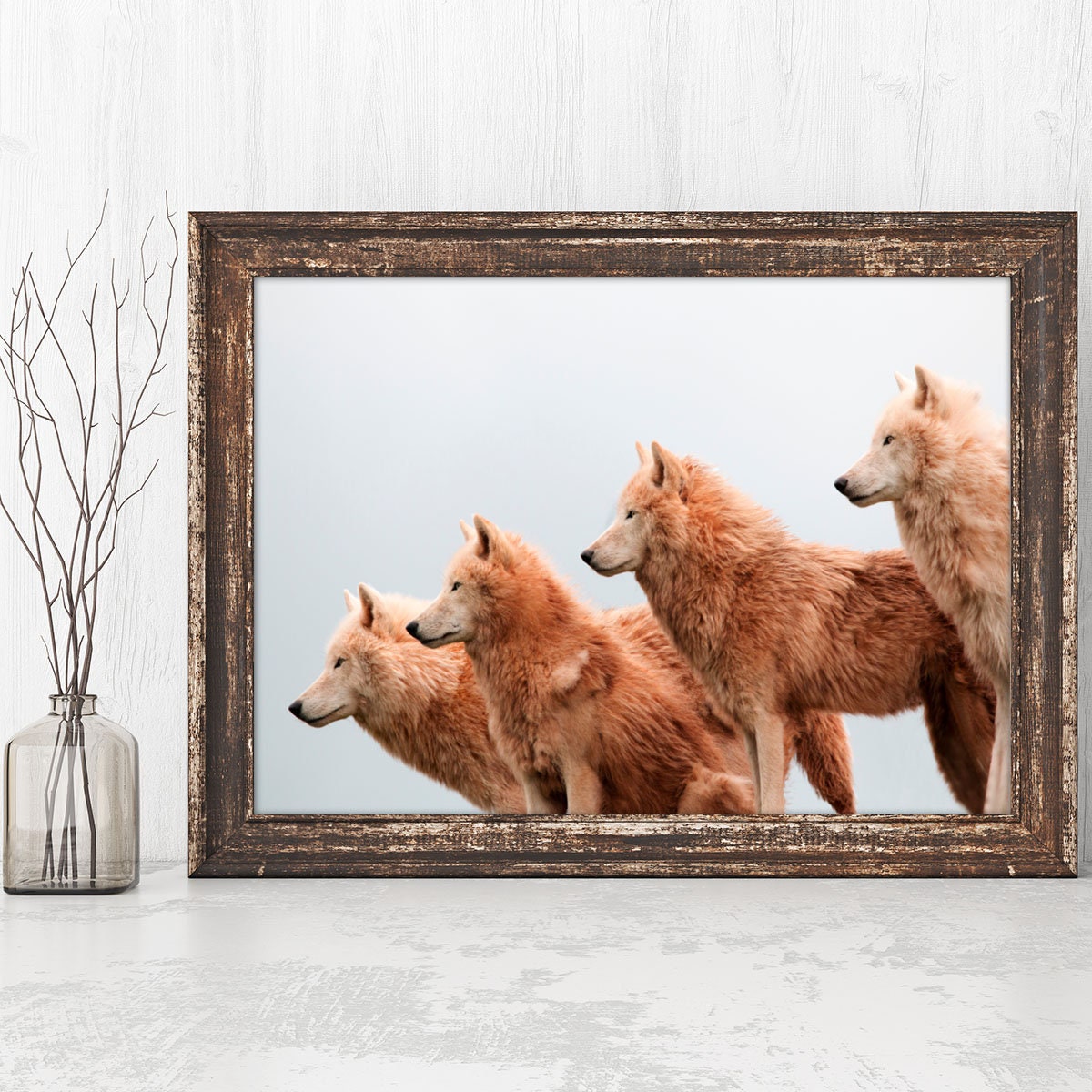 Wolf Arctic Wolves Wolf Pack White Wolf Wolves Photo - Etsy