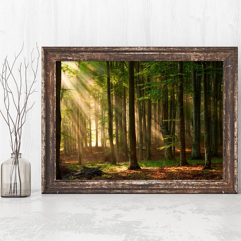 Forest Print, Forest Wall Art, Forest Poster, Forest, Forest Trees ...