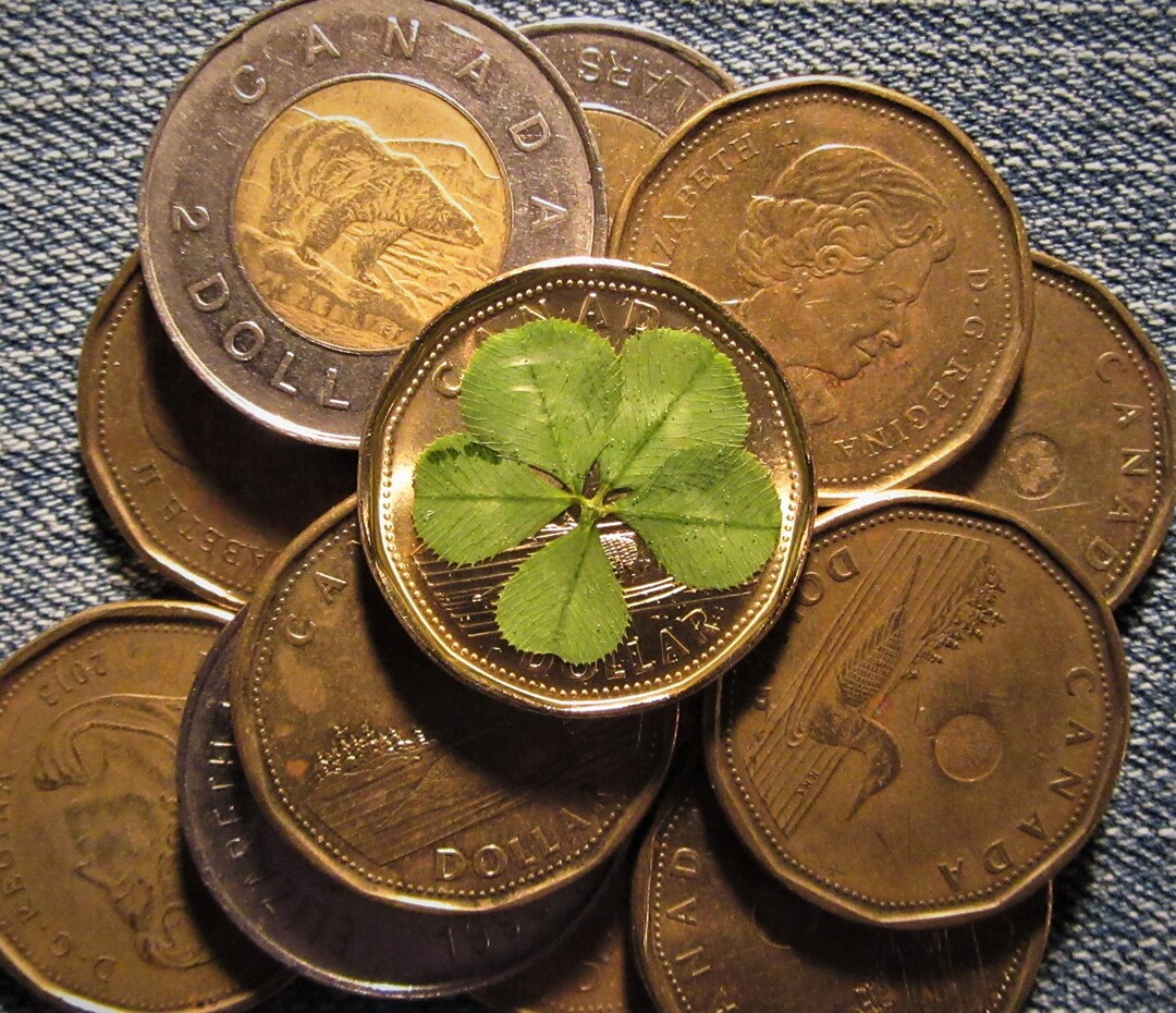 2022 FIVE LEAF CLOVER Canadian Lucky Loonie Protection - Etsy