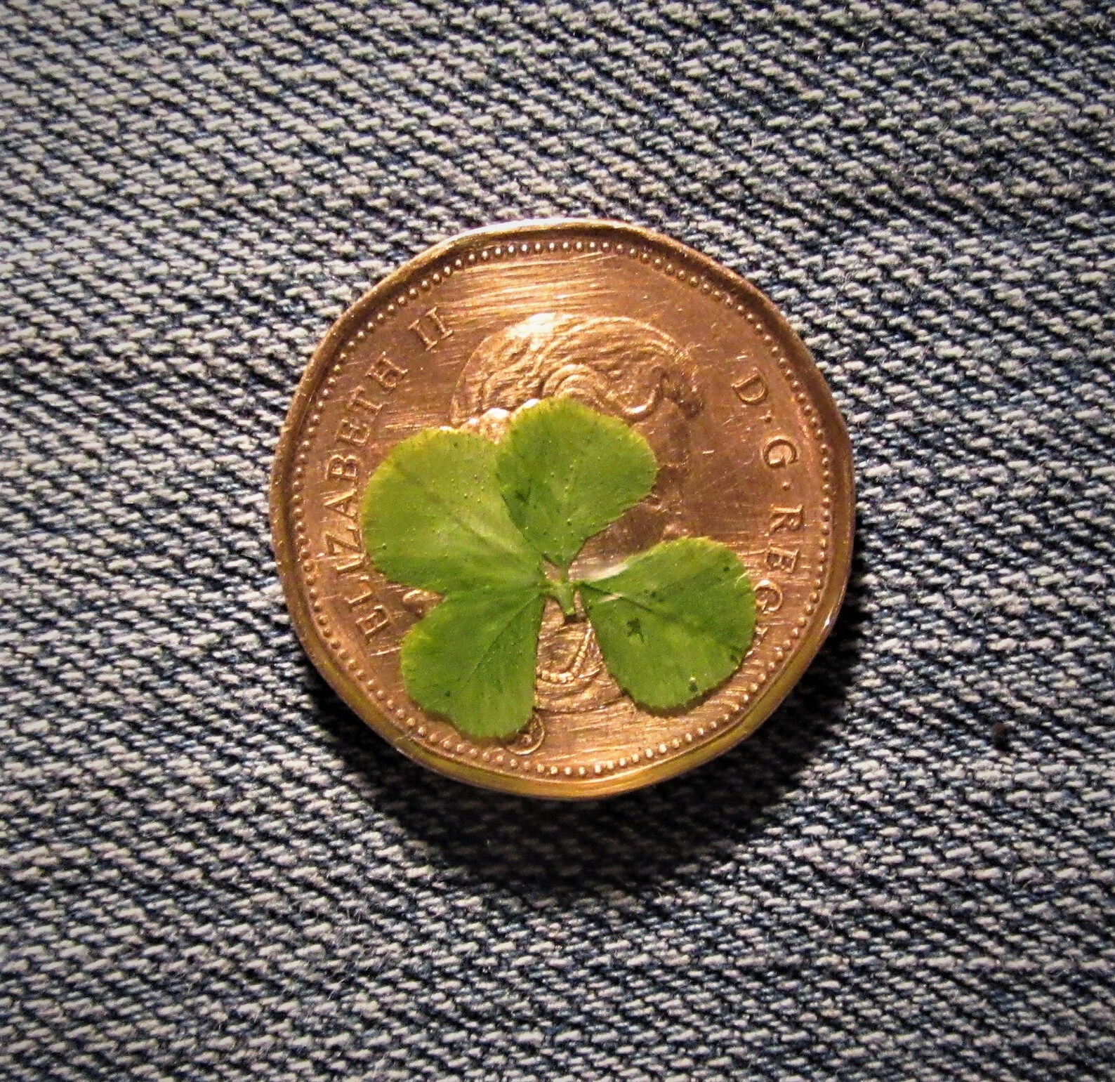 Lucky Four Leaf Clover Pocket Charm Coin Canadian One | Etsy