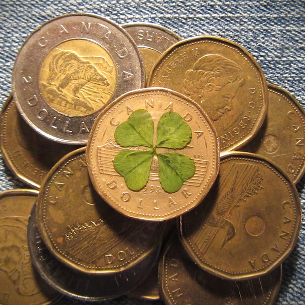 Good Luck Coin - Etsy