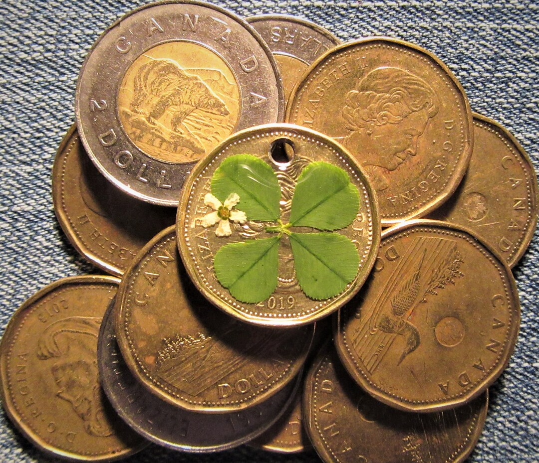 4 LEAF CLOVER, W/, Dried Wild Flower, Canadian, Lucky Loonie, Decorated ...