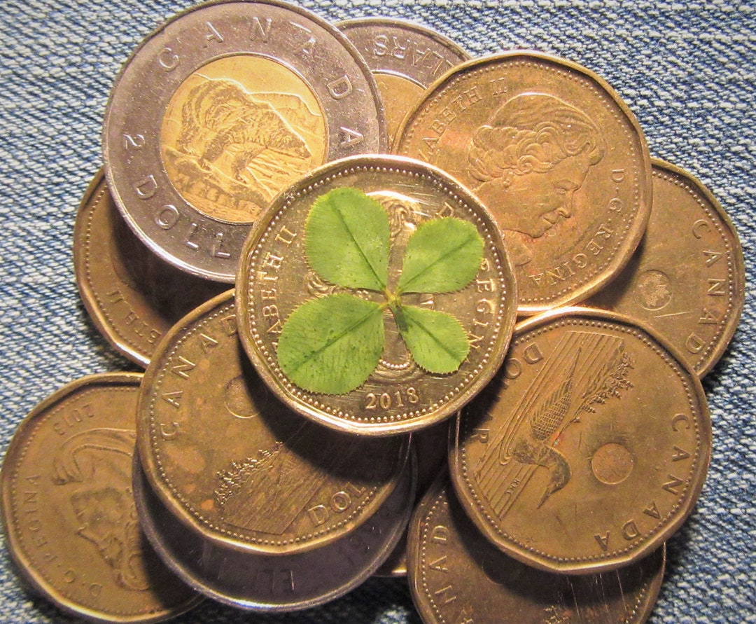 2018 LUCKY Four Leaf Clover POCKET CHARM Canadian One - Etsy Canada