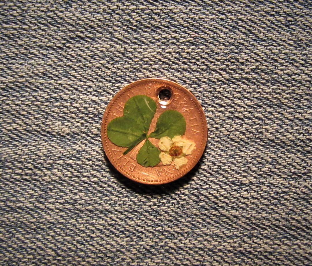LUCKY PENNY Canadian Copper 4 Leaf Clover Dried Flower - Etsy