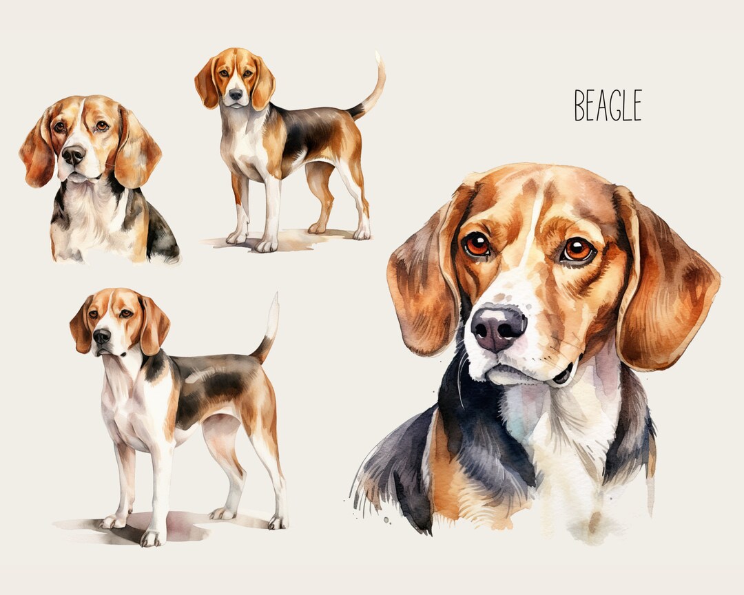 4 Iron-on Patches Beagle, Beagle for Ironing On, Dog Breed Beagle ...