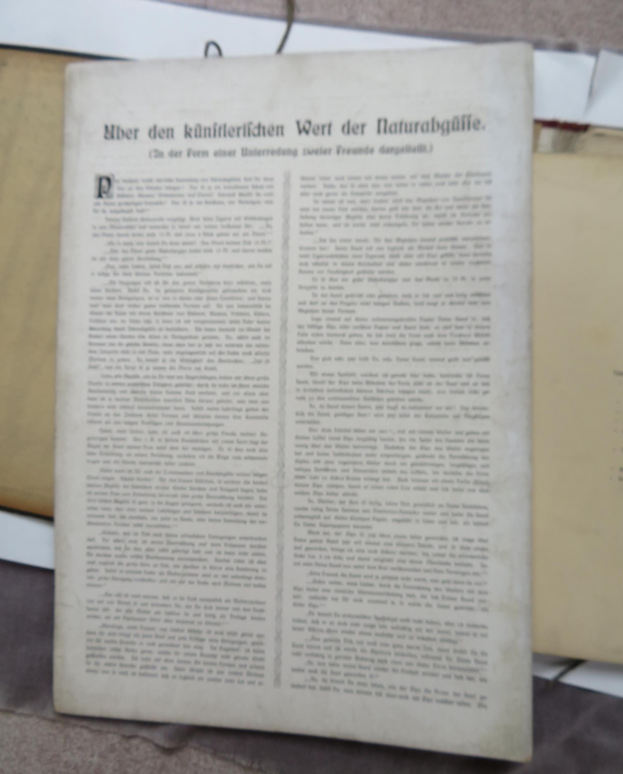 C1890/1900 German Lace Folio Die Stilarten Der Spitze Verlag C. F ...