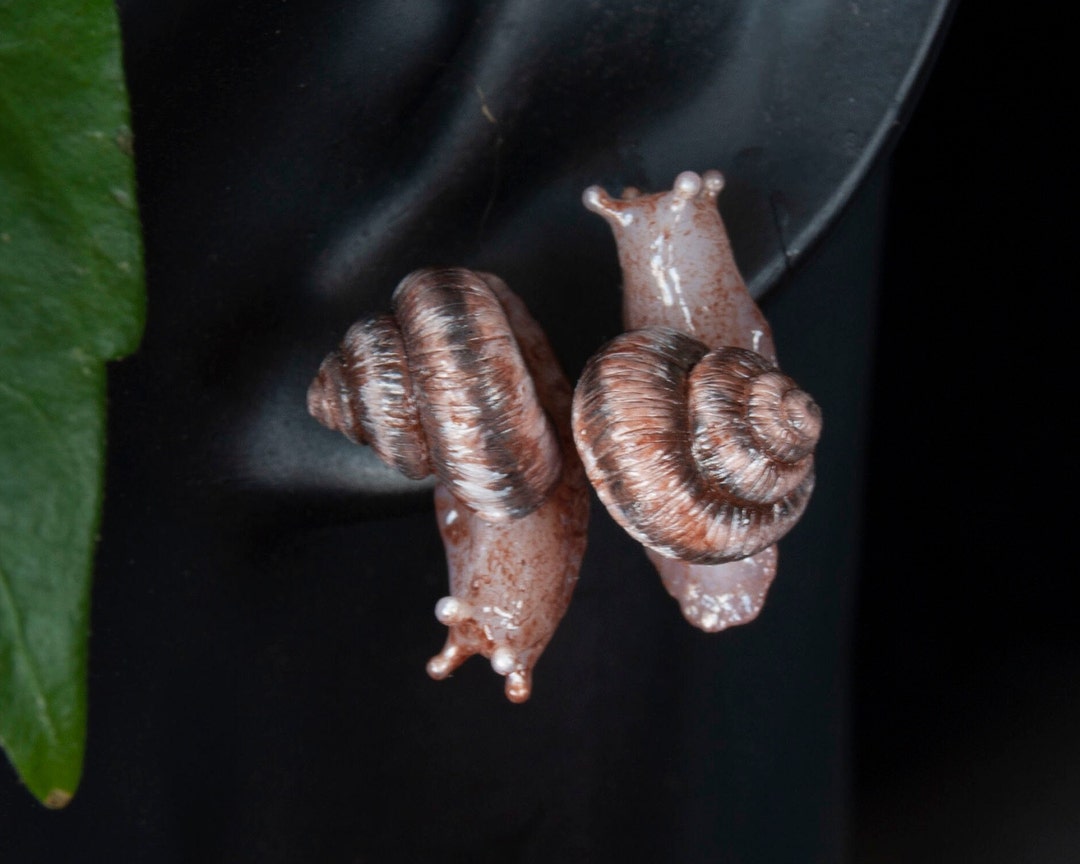 Realistic Snail Stud Mismatched Earrings, Miniature Entomologist Gift, Garden Snail, Animal ...