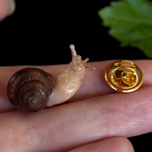Miniature Snail Lapel Pin, Realistic Figurine Brooch, Slug Jewelry ...
