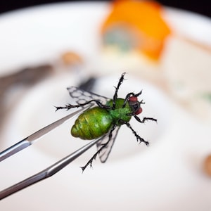 Realistic Fly Insect, Flies Insect Miniature Sculptures, Fake Bugs ...
