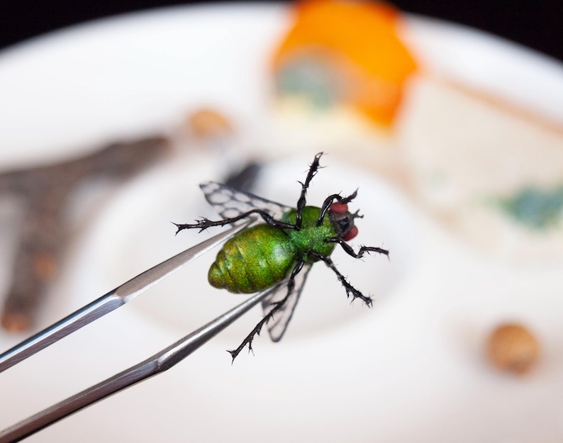 Realistic Fly Insect Miniature Sculpture: Polymer Clay Replica - Etsy
