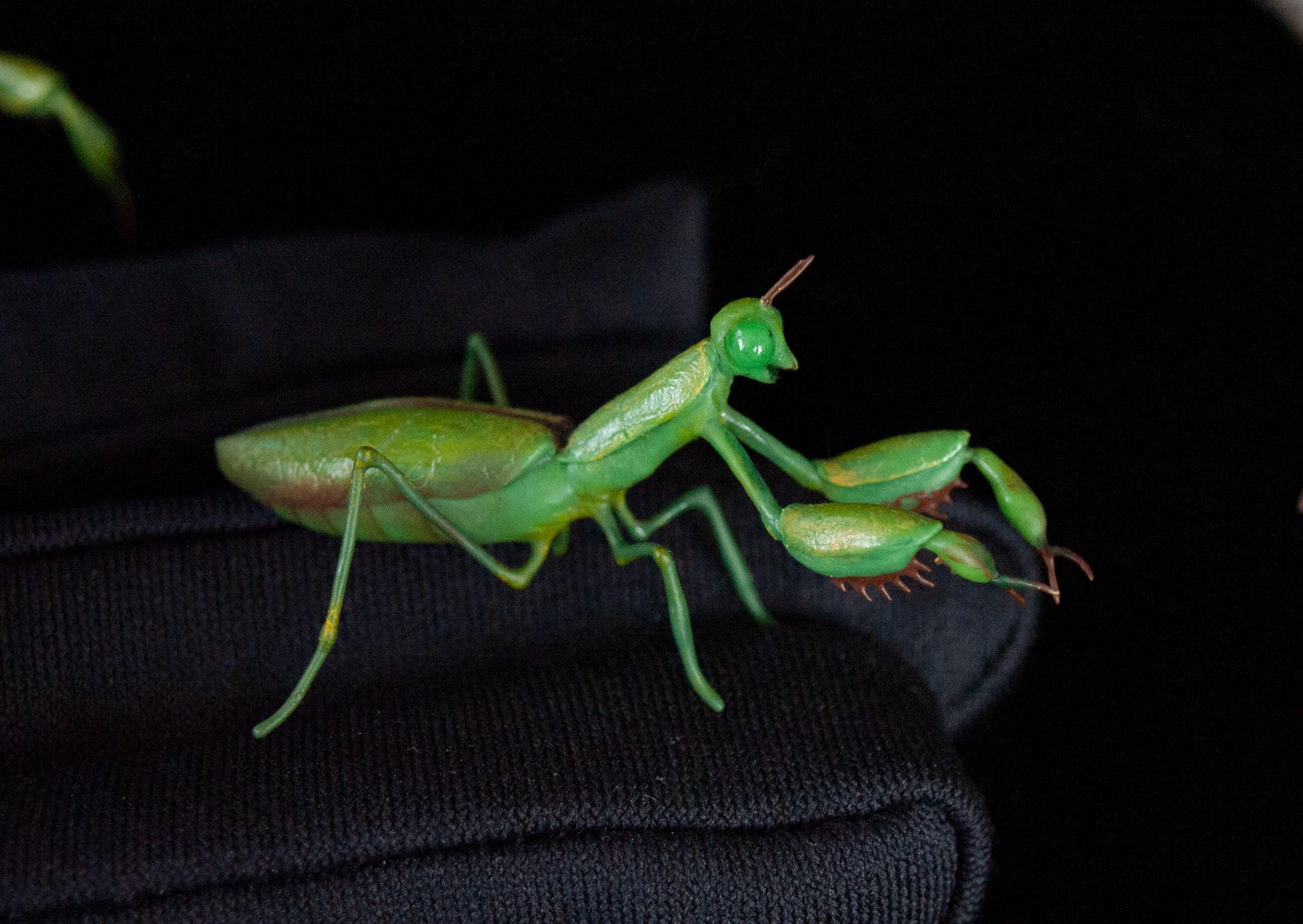 Realistic Praying Mantis Sculpture: Polymer Clay Insect Figurine - Etsy