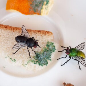 Realistic Fly Insect, Flies Insect Miniature Sculptures, Fake Bugs ...