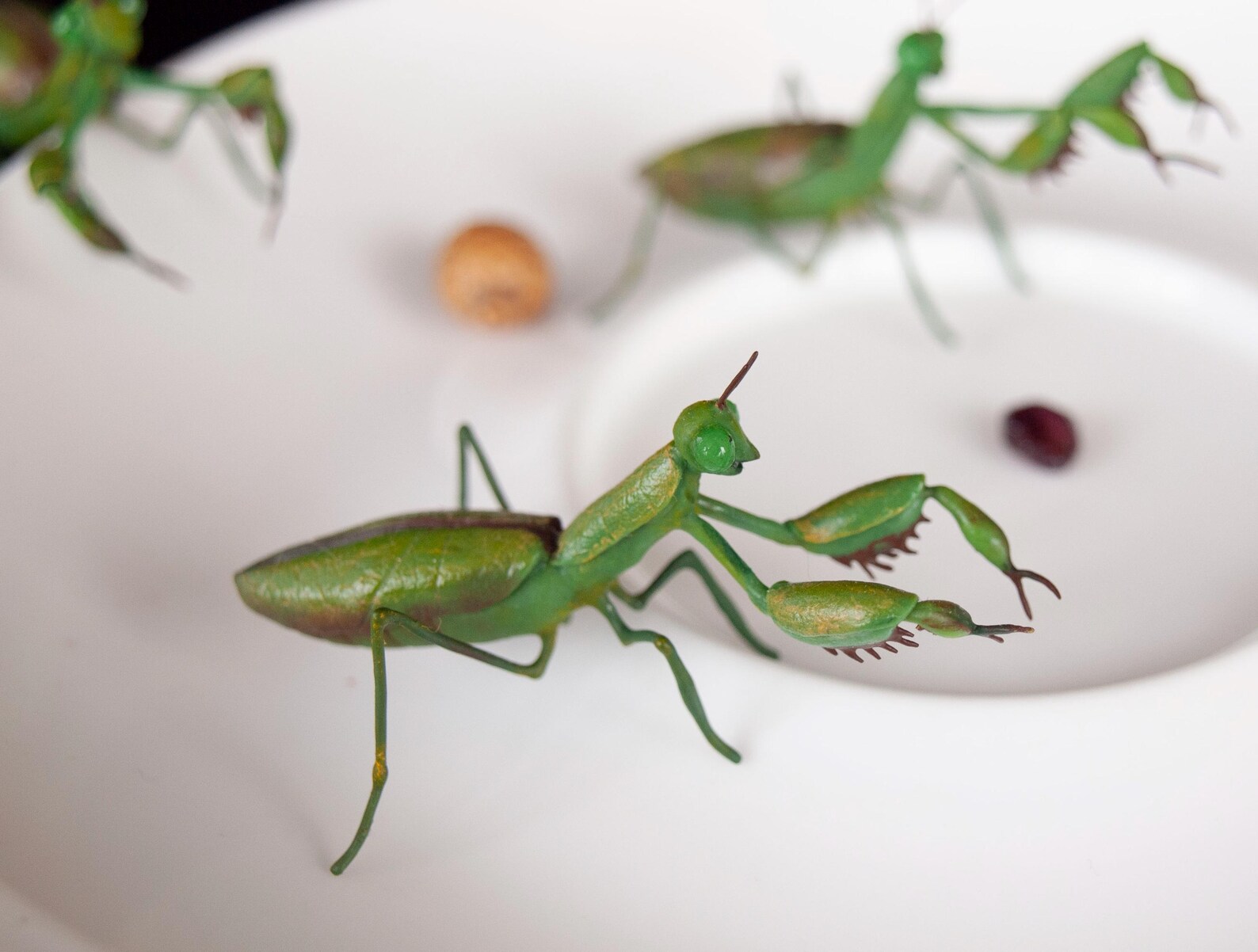 Realistic Praying Mantis Sculpture: Polymer Clay Insect Figurine - Etsy