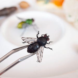Realistic Fly Insect Miniature Sculpture: Polymer Clay Replica - Etsy