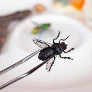 Realistic Fly Insect, Flies Insect Miniature Sculptures, Fake Bugs ...