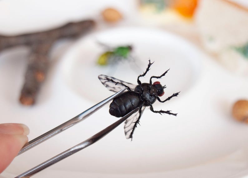 Realistic Fly Insect Miniature Sculpture: Polymer Clay Replica - Etsy