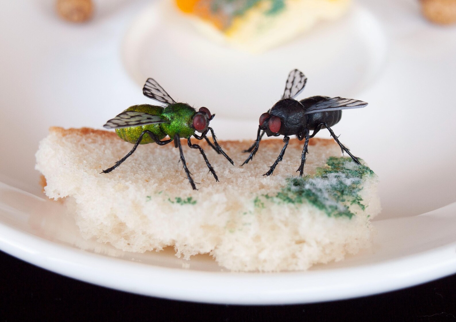 Realistic Fly Insect Miniature Sculpture: Polymer Clay Replica - Etsy