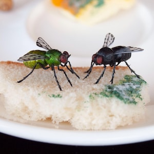 Realistic Fly Insect, Flies Insect Miniature Sculptures, Fake Bugs ...