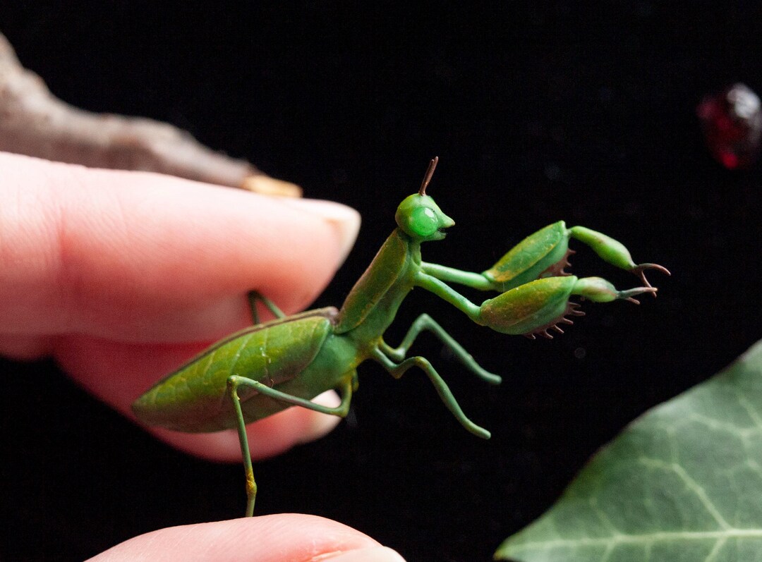 Praying Mantis, Bug Sculpture, Realistic Insect, Props for Movies, Witchy Plant Décor ...