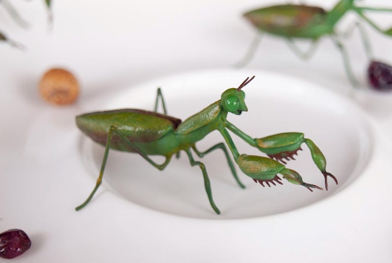 Realistic Praying Mantis Sculpture: Polymer Clay Insect Figurine - Etsy