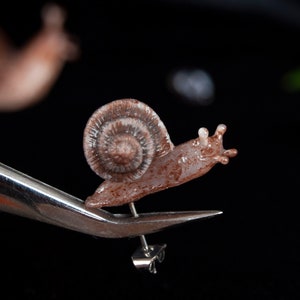 Realistic Snail Stud Mismatched Earrings, Miniature Entomologist Gift ...