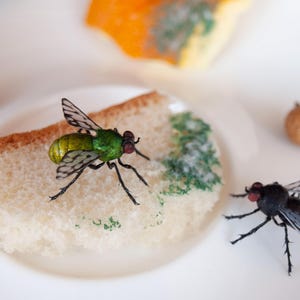 Realistic Fly Insect, Flies Insect Miniature Sculptures, Fake Bugs ...