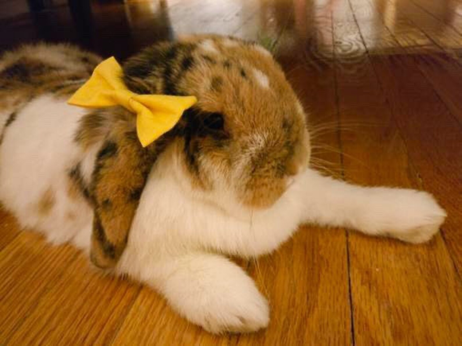 Rabbit Bow Tie - Etsy