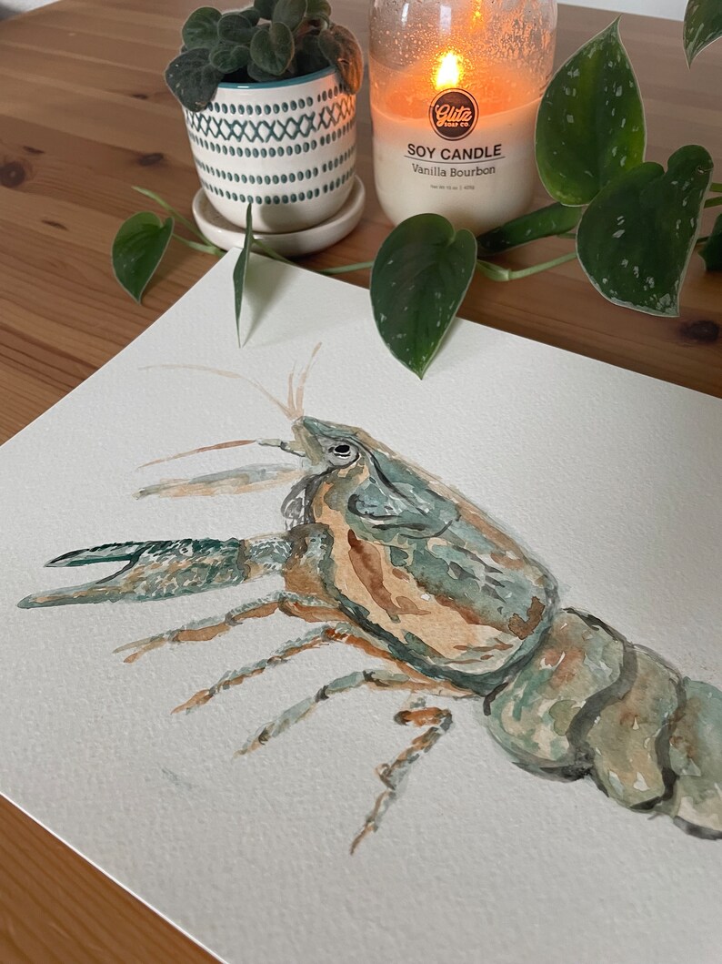 Watercolor Crayfish - Etsy