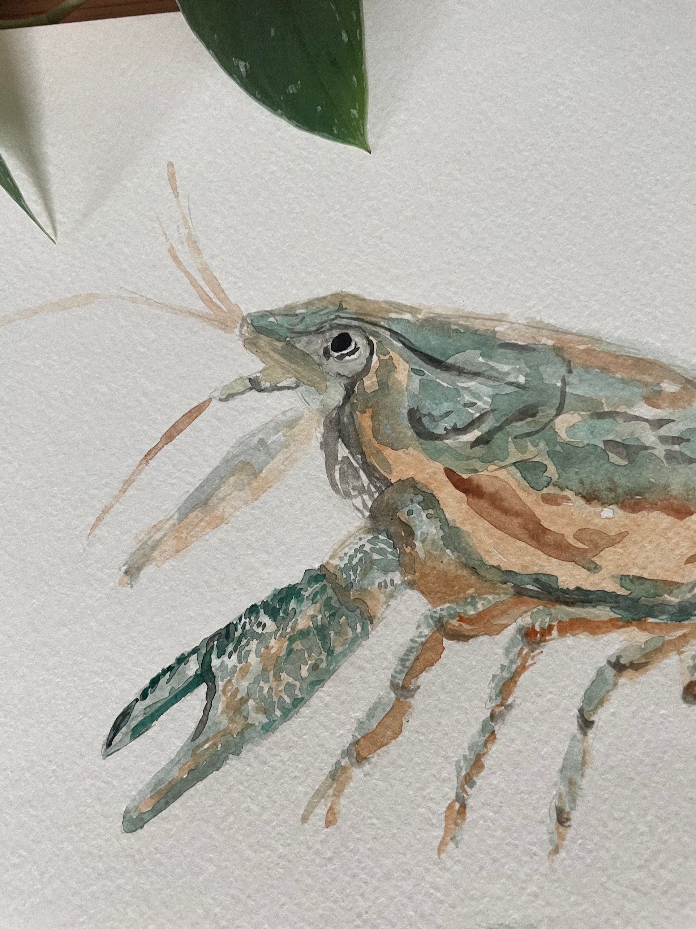 Watercolor Crayfish - Etsy