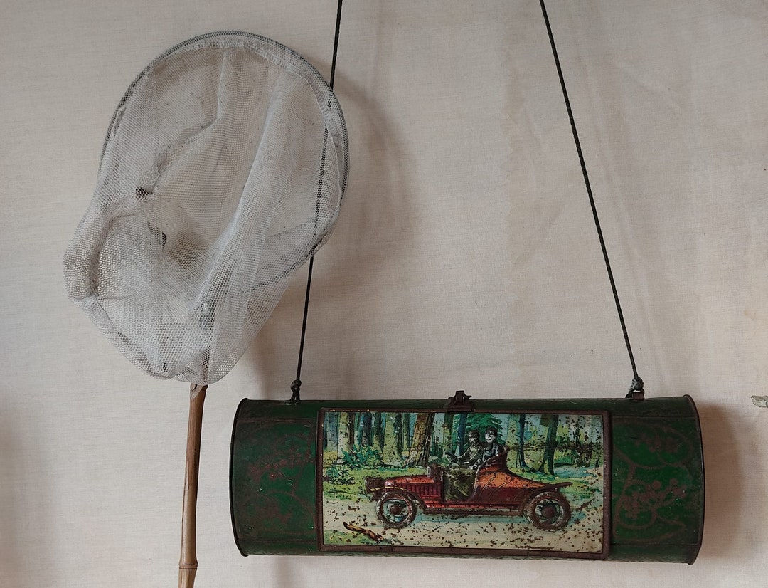 Antique Botanizing Drum Around 1900 Art Nouveau Butterfly Drum ...