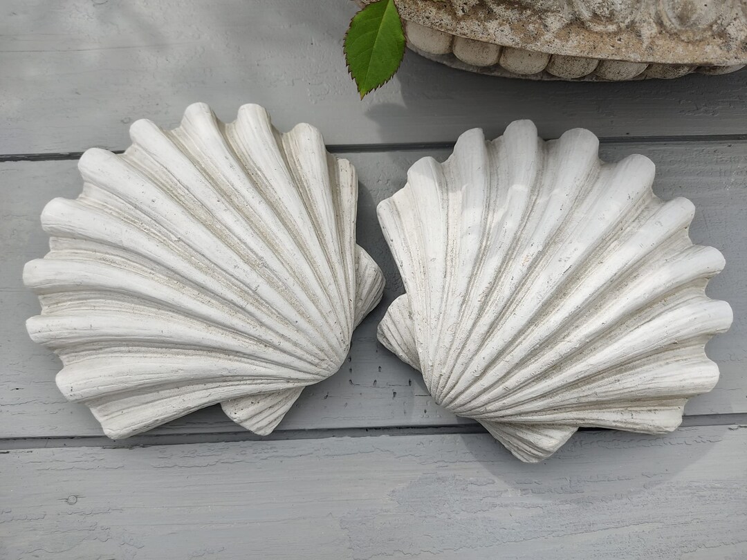Large Cement Shell Shells 2 Pieces Maritime Decoration Seashell Shabby ...