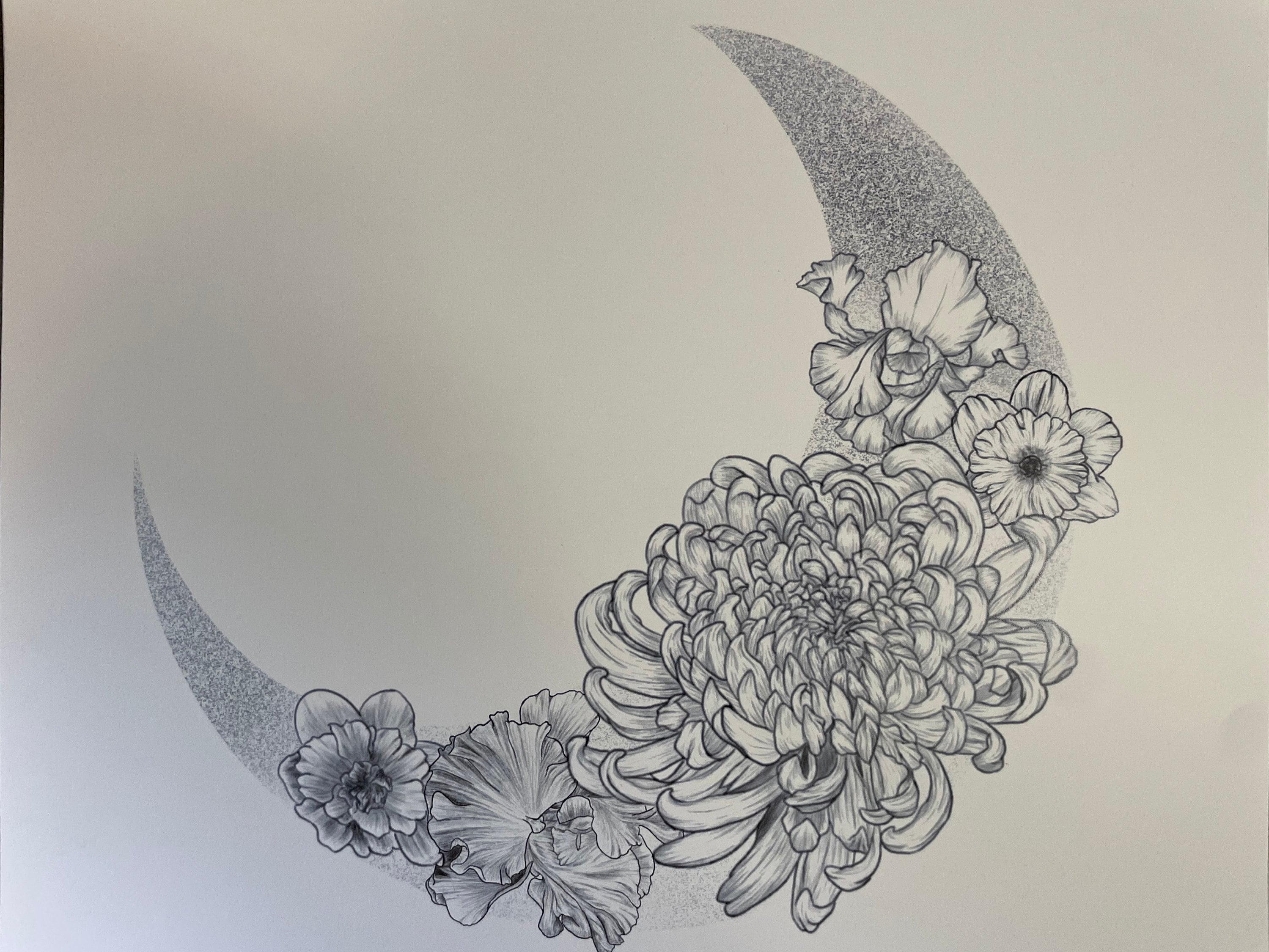 Moon Flower Drawing