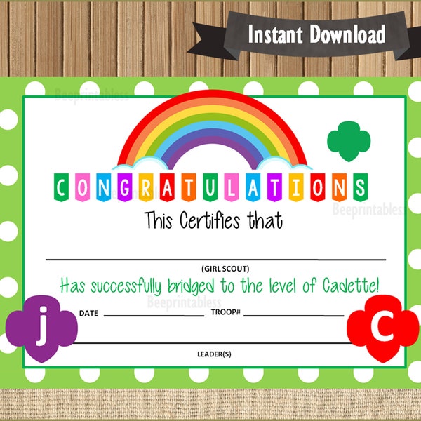 Junior Bridging Certificate - Etsy