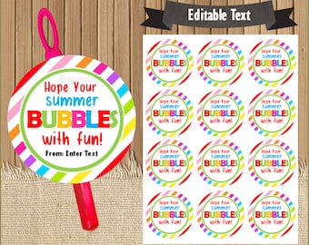 Editable End of School Year Tags, Classmate Gifts, Hope Your Summer ...