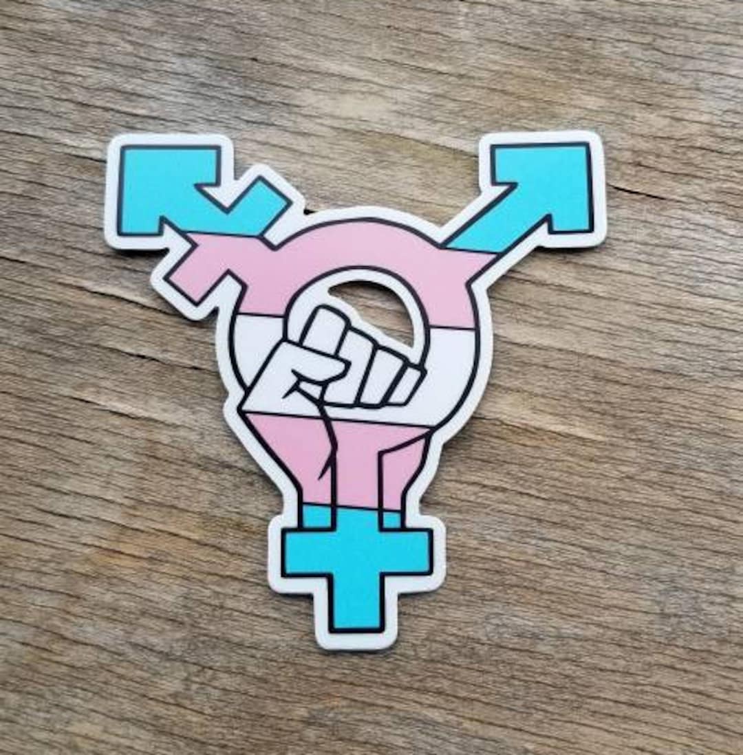 LGBTQ Trans Symbol Pride Flag Resist Fist Vinyl Sticker Decal Gifts ...