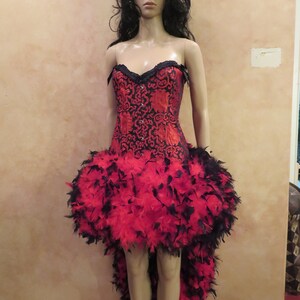 Red Pink Vegas Showgirl Burlesque Pride Parade Costume Corset Feather ...