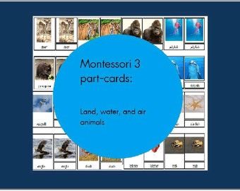 Land Water Air Cards - Etsy