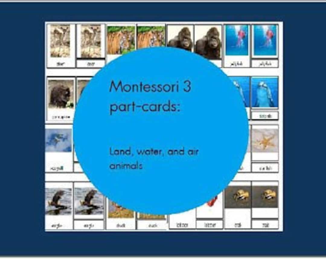 Swedish 3 Part Montessori Cards Land, Water, and Air Animals - Etsy