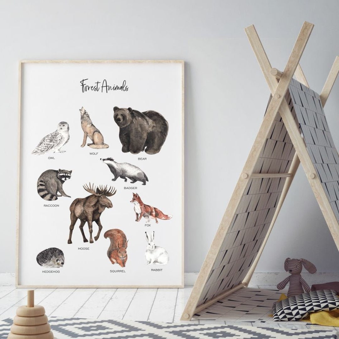 Forest Animals - Forest Animals Poster, Addition to the Children's Room ...