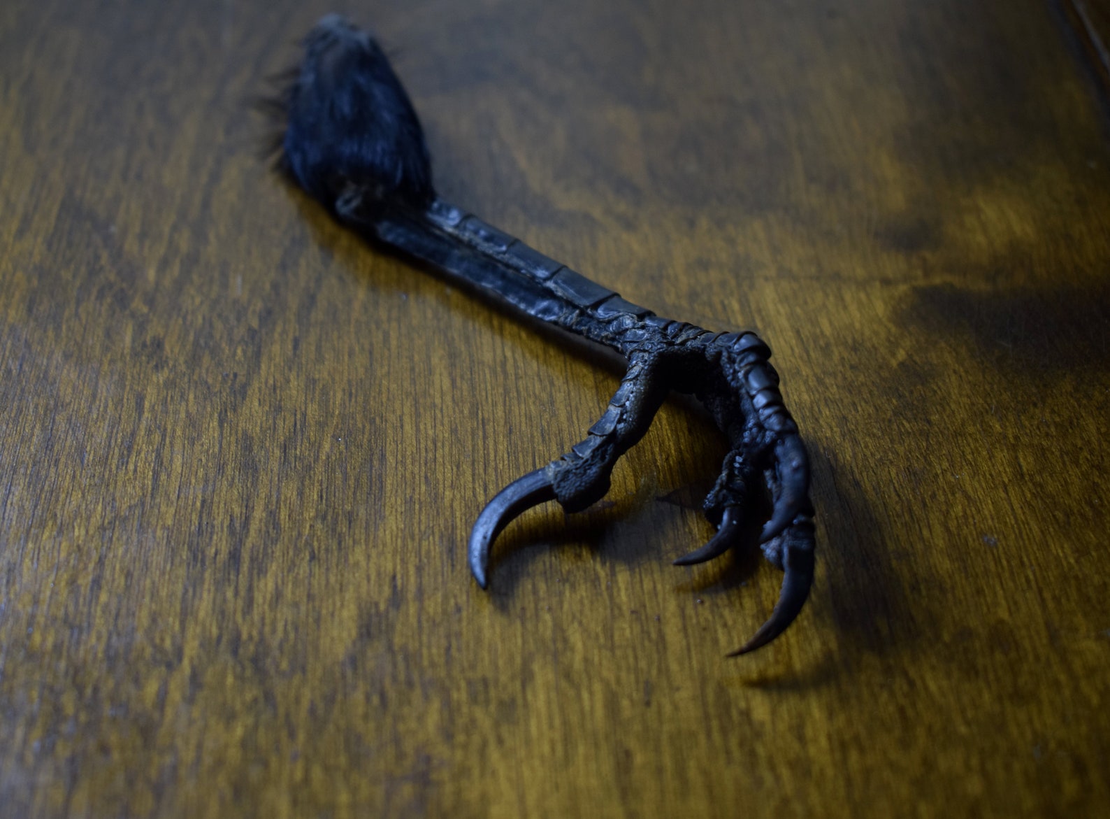 Taxidermy Crow Foot Crow Foot Craft Supply Craft Grade | Etsy UK