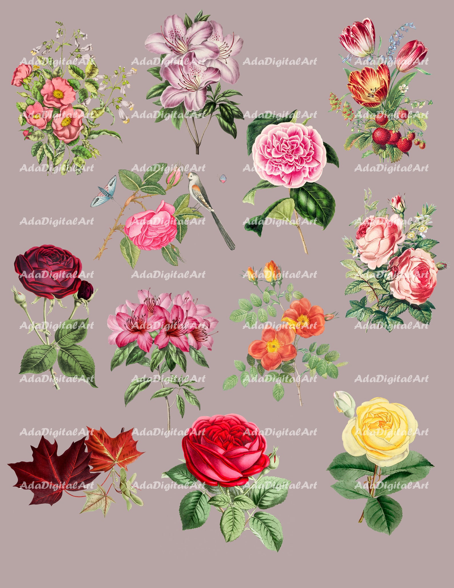 Vintage Flowers Clipart, Flowers Clip Art, Digital Collage Sheet ...