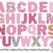 Pink Letter Clipart, Floral Alphabet Letters Clip Art, Floral Pink ...