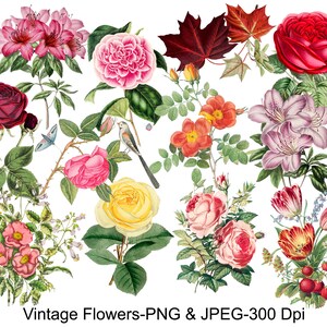 Vintage Flowers Clipart, Flowers Clip Art, Digital Collage Sheet ...